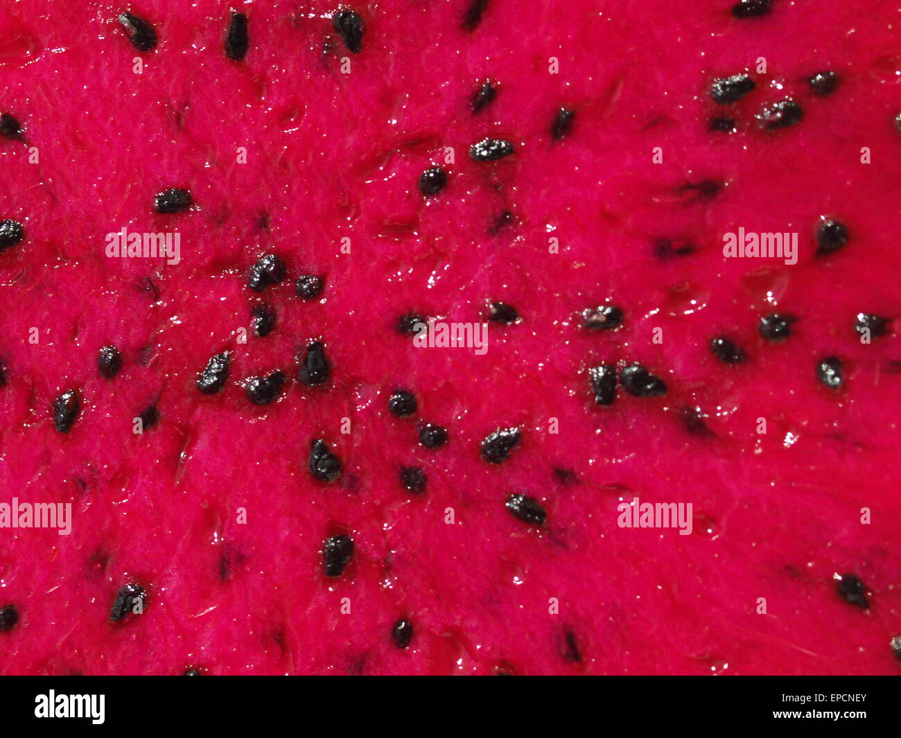 Inside of dragon fruit hi-res stock photography and images - Alamy