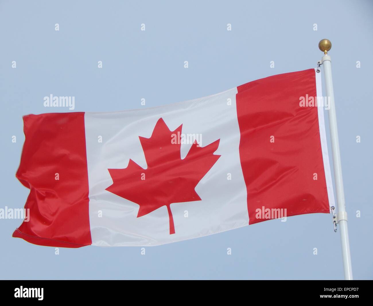 Canadian Gold Maple Leaf High Resolution Stock Photography and Images ...