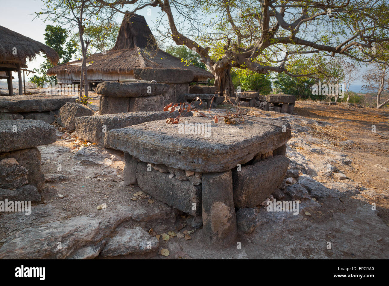 Megalith structures related to old marapu religion of Sumbanese people ...