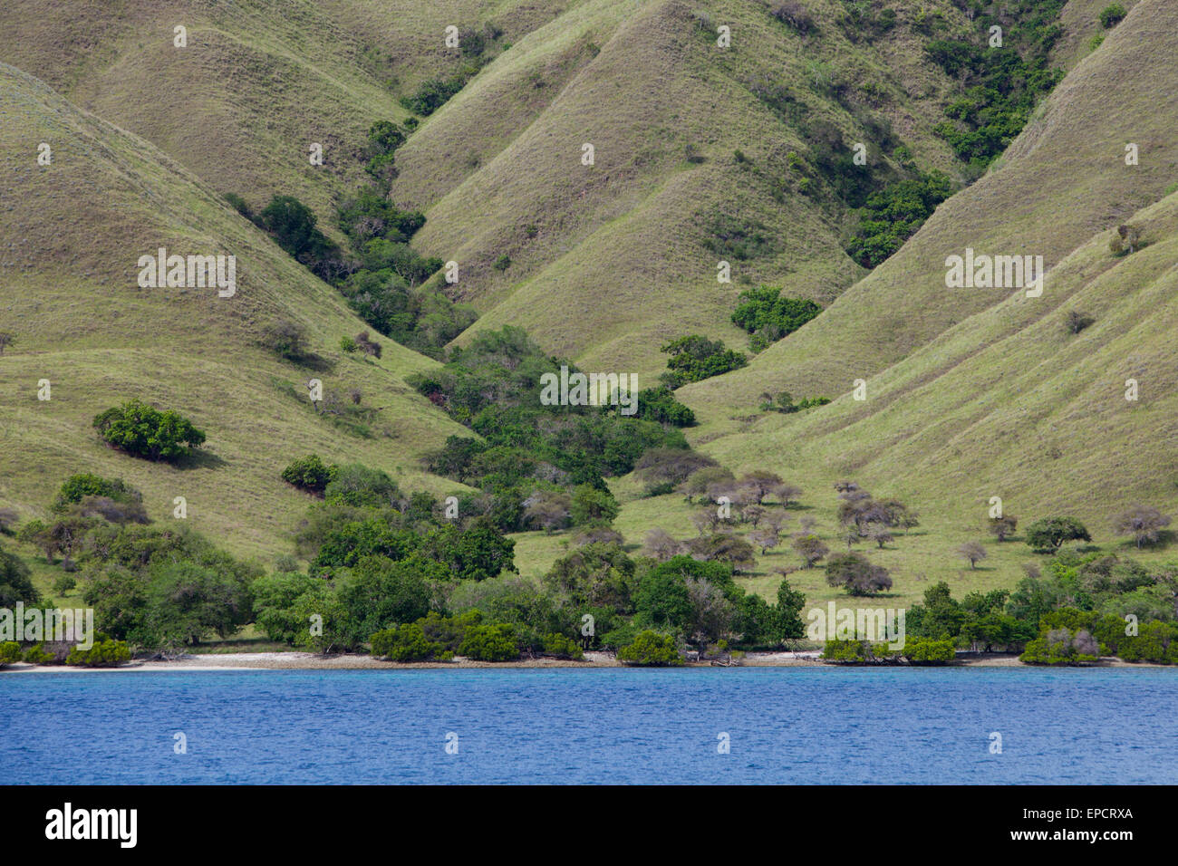 Komodo island landscape High Resolution Stock Photography and Images ...