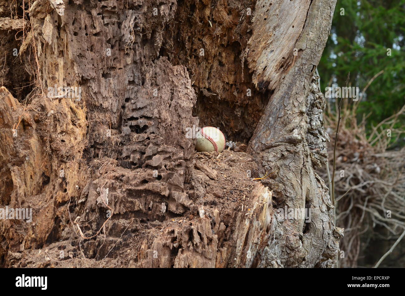 Stump ball hi-res stock photography and images - Alamy