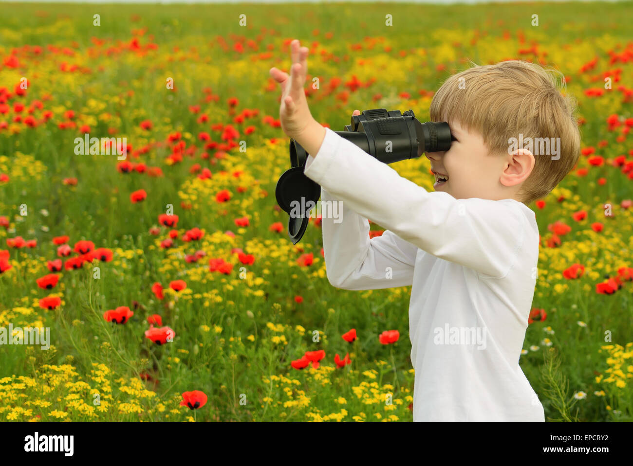 Child boy in a poppy field hi-res stock photography and images - Alamy