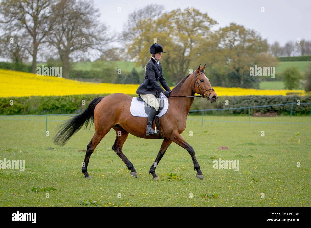 Riders and their horses take part in a local Riding Club Dressage Event ...