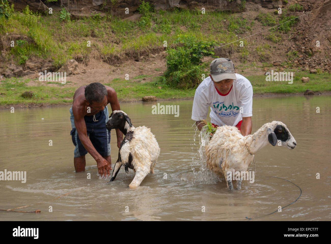 People bathing in pond High Resolution Stock Photography and Images - Alamy