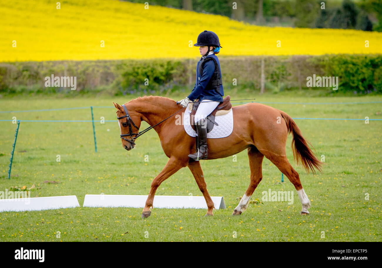 Riders and their horses take part in a local Riding Club Dressage Event ...