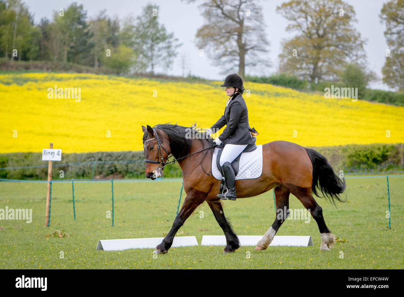 Riders and their horses take part in a local Riding Club Dressage Event ...