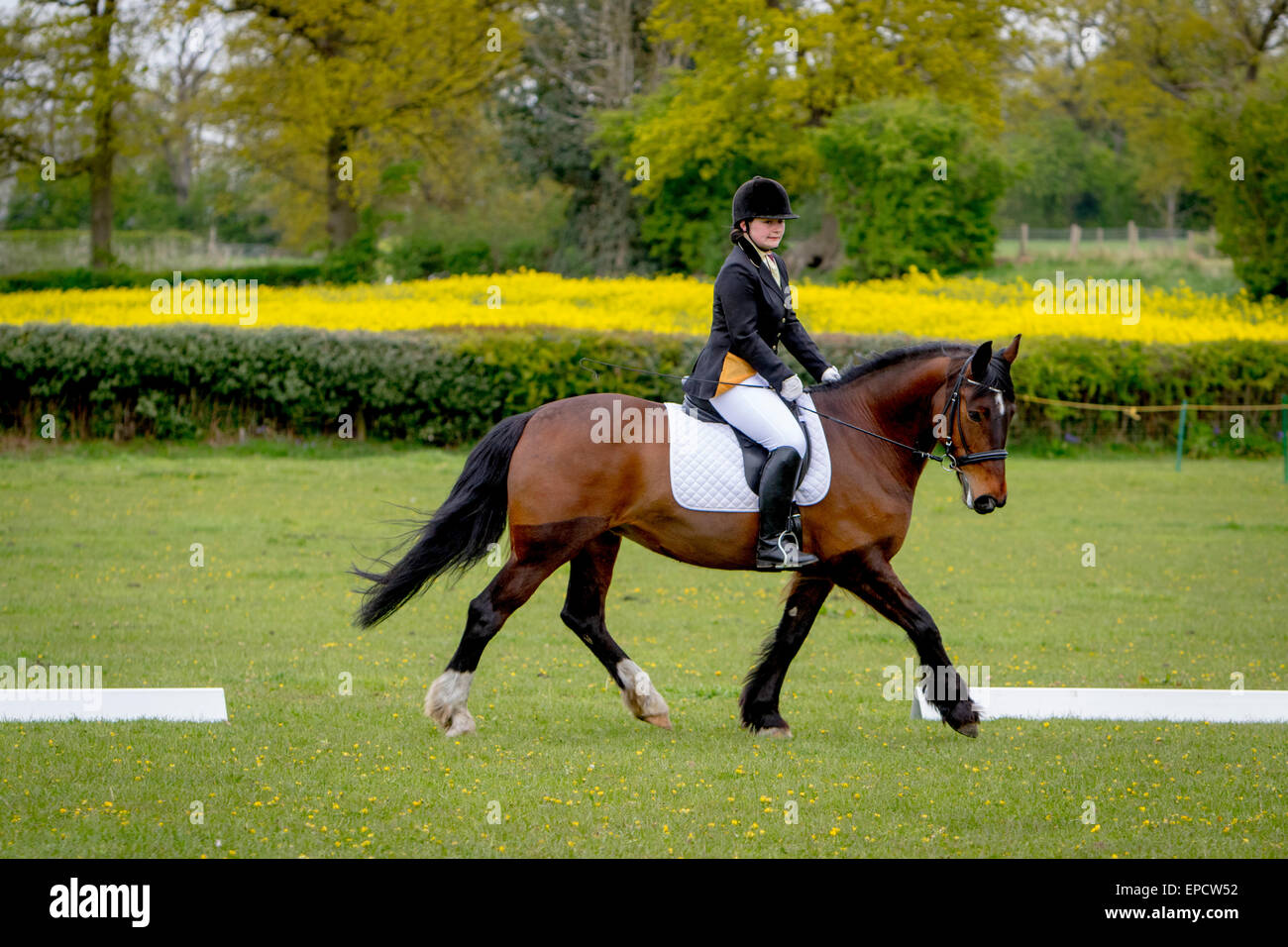 Riders and their horses take part in a local Riding Club Dressage Event ...
