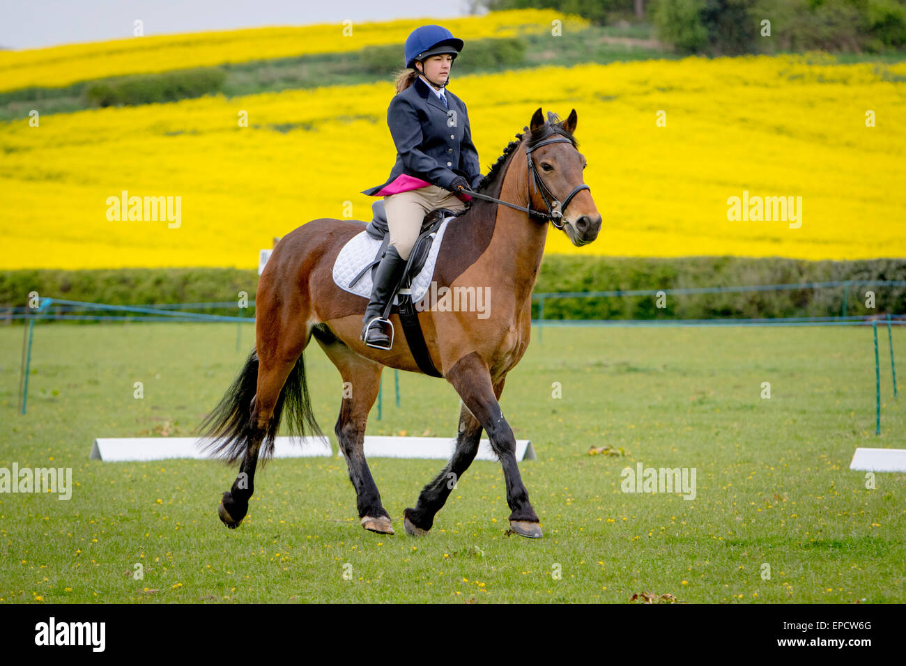 Riders and their horses take part in a local Riding Club Dressage Event ...