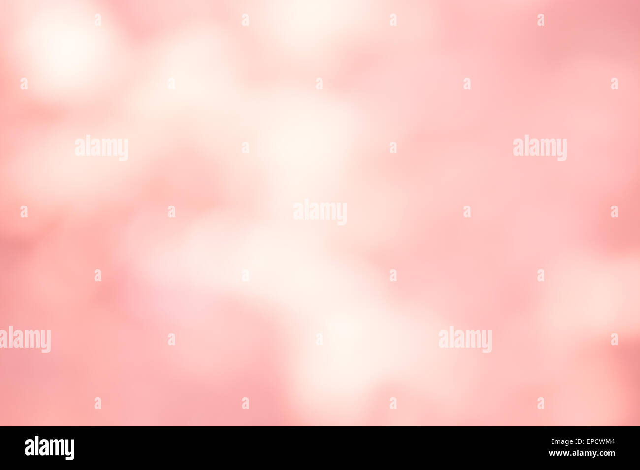Abstract pink blurred background Stock Photo - Alamy