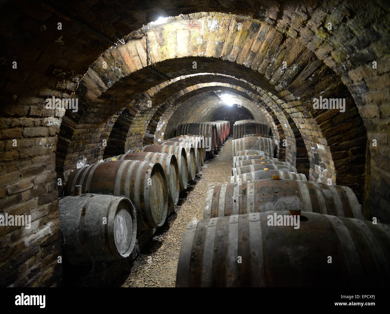 Ancient wine cellar with wooden wine barrels Stock Photo - Alamy
