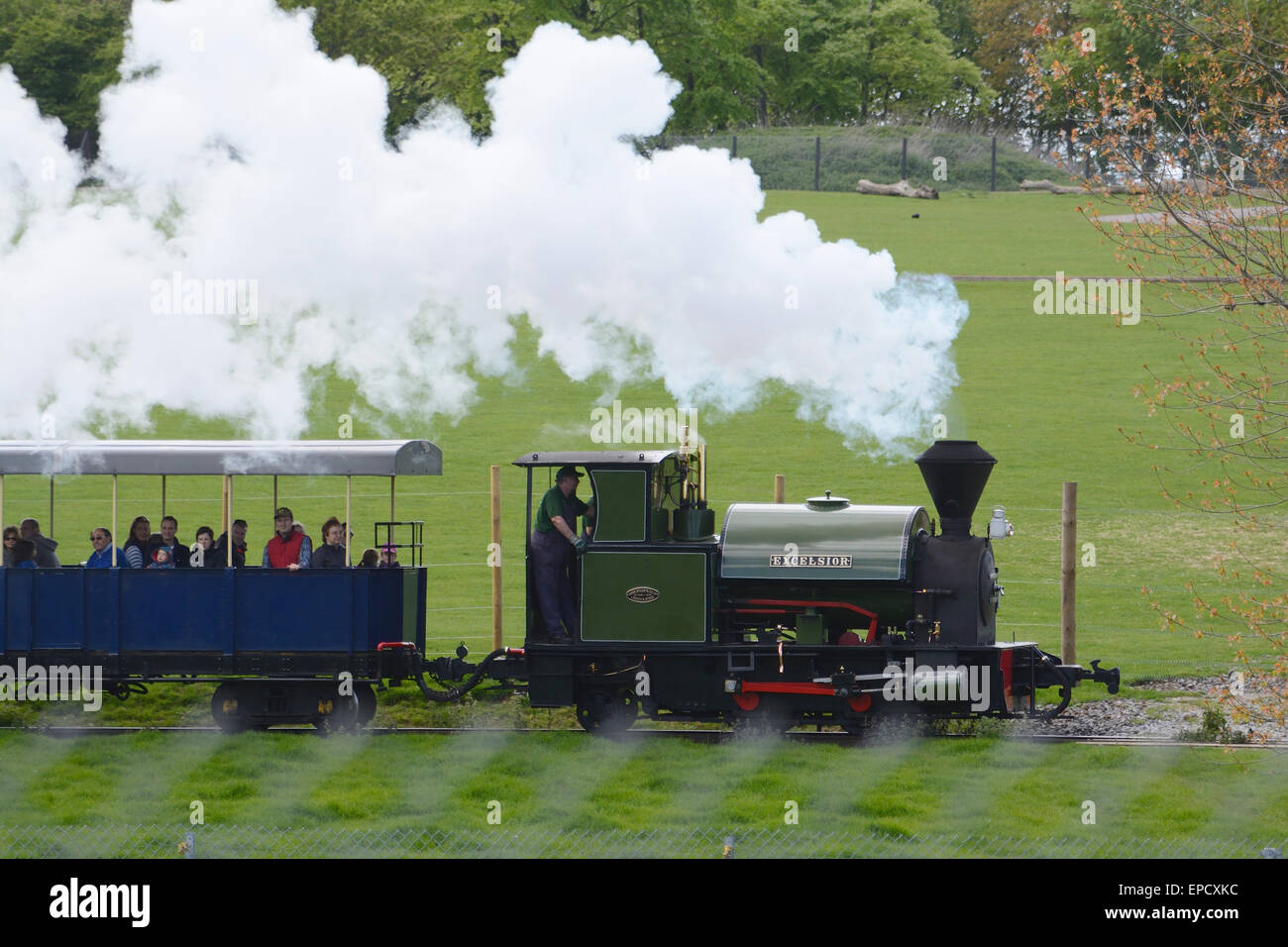 steam train at Whipsnade Zoo, Bedfordshire (EDITORIAL USE ONLY Stock ...