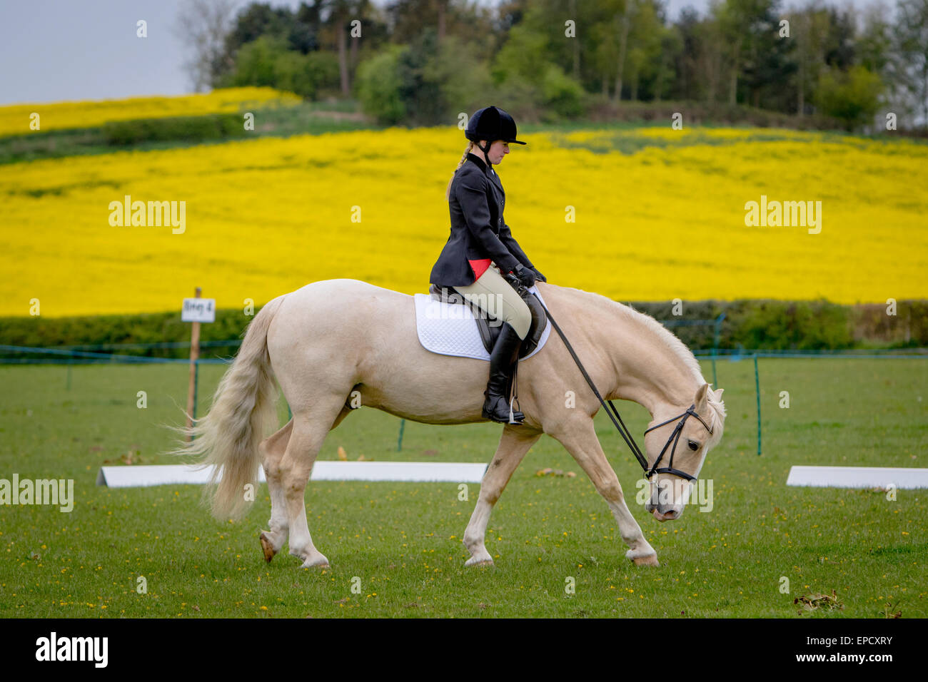 Riders and their horses take part in a local Riding Club Dressage Event ...