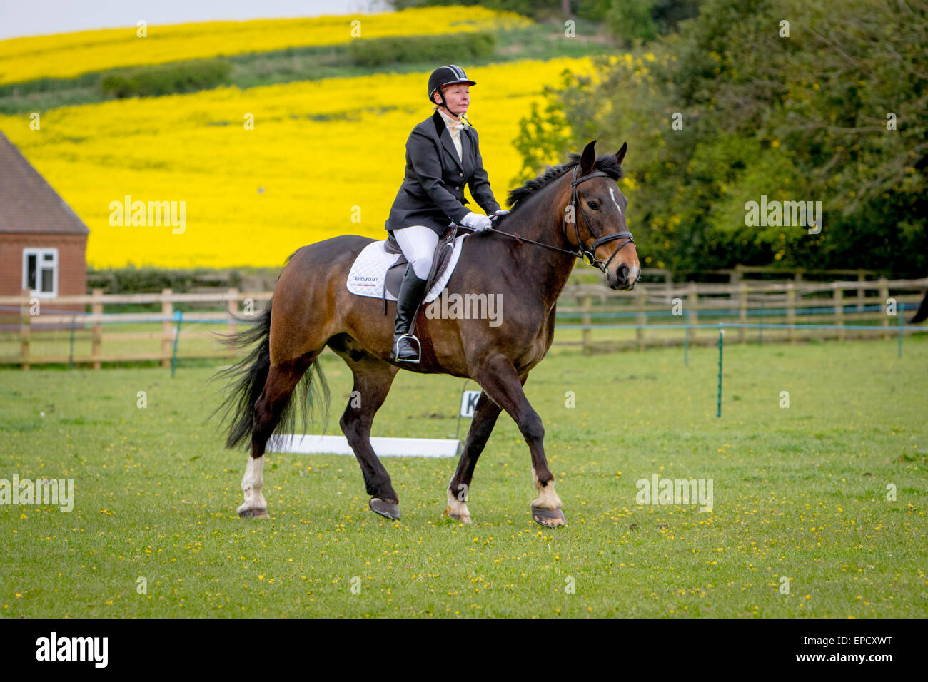 Riders and their horses take part in a local Riding Club Dressage Event ...