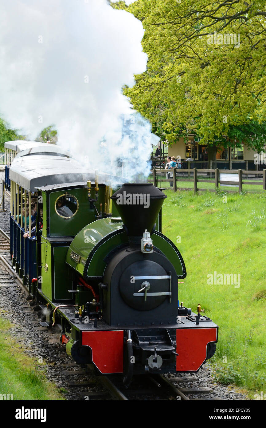 Zoo train station hi-res stock photography and images - Alamy