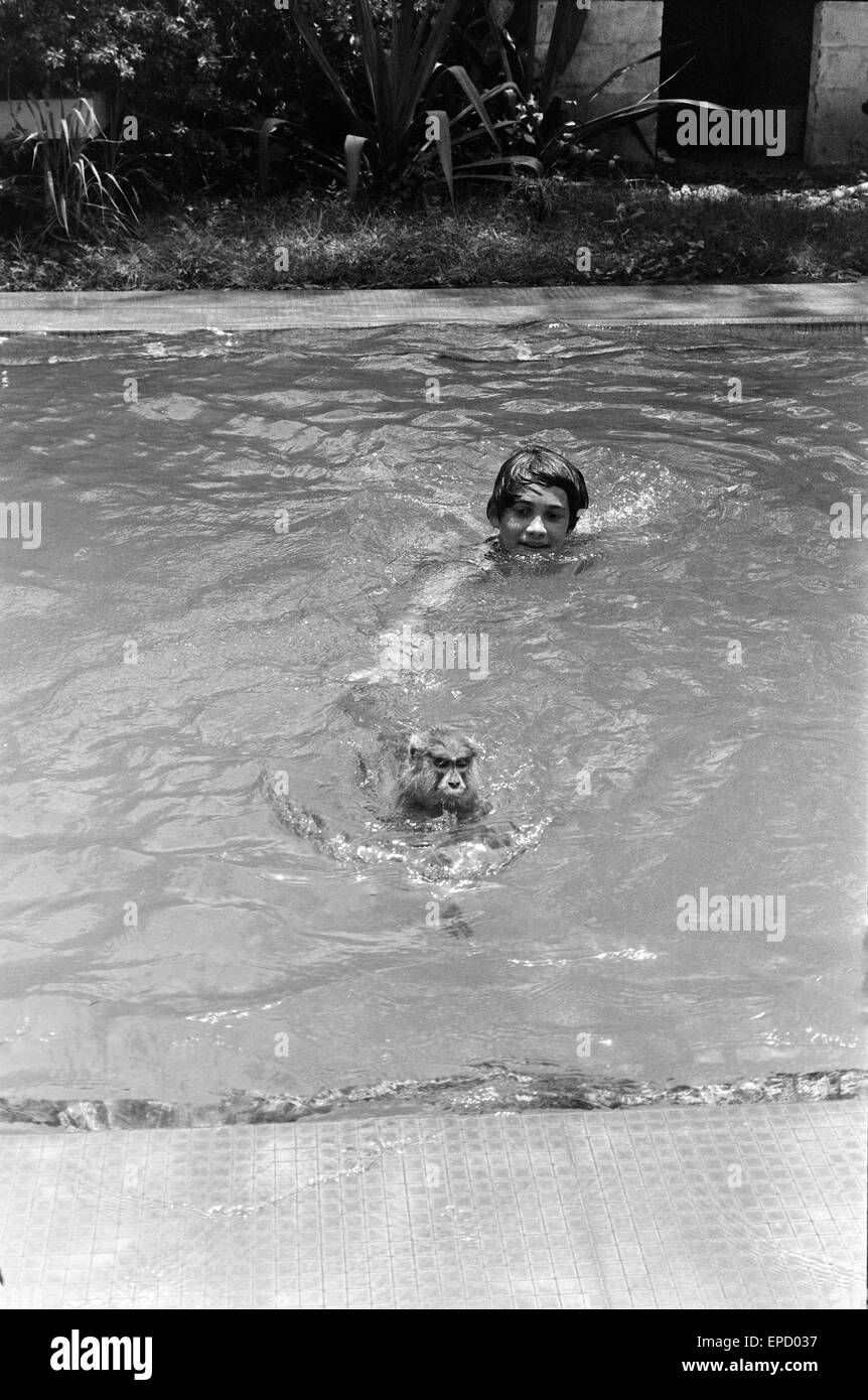 Monkey swimming Black and White Stock Photos & Images - Alamy