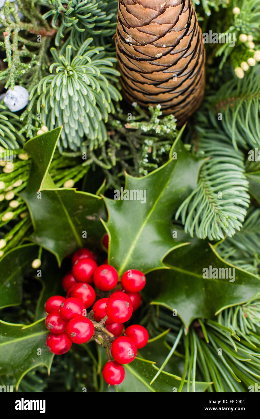 Pine fir cones holly berries hi-res stock photography and images - Alamy