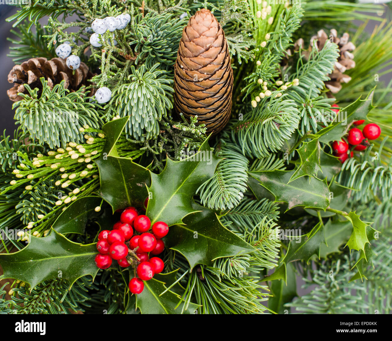 Mixed evergreen arrangement including pine cones holly and cedar Stock ...
