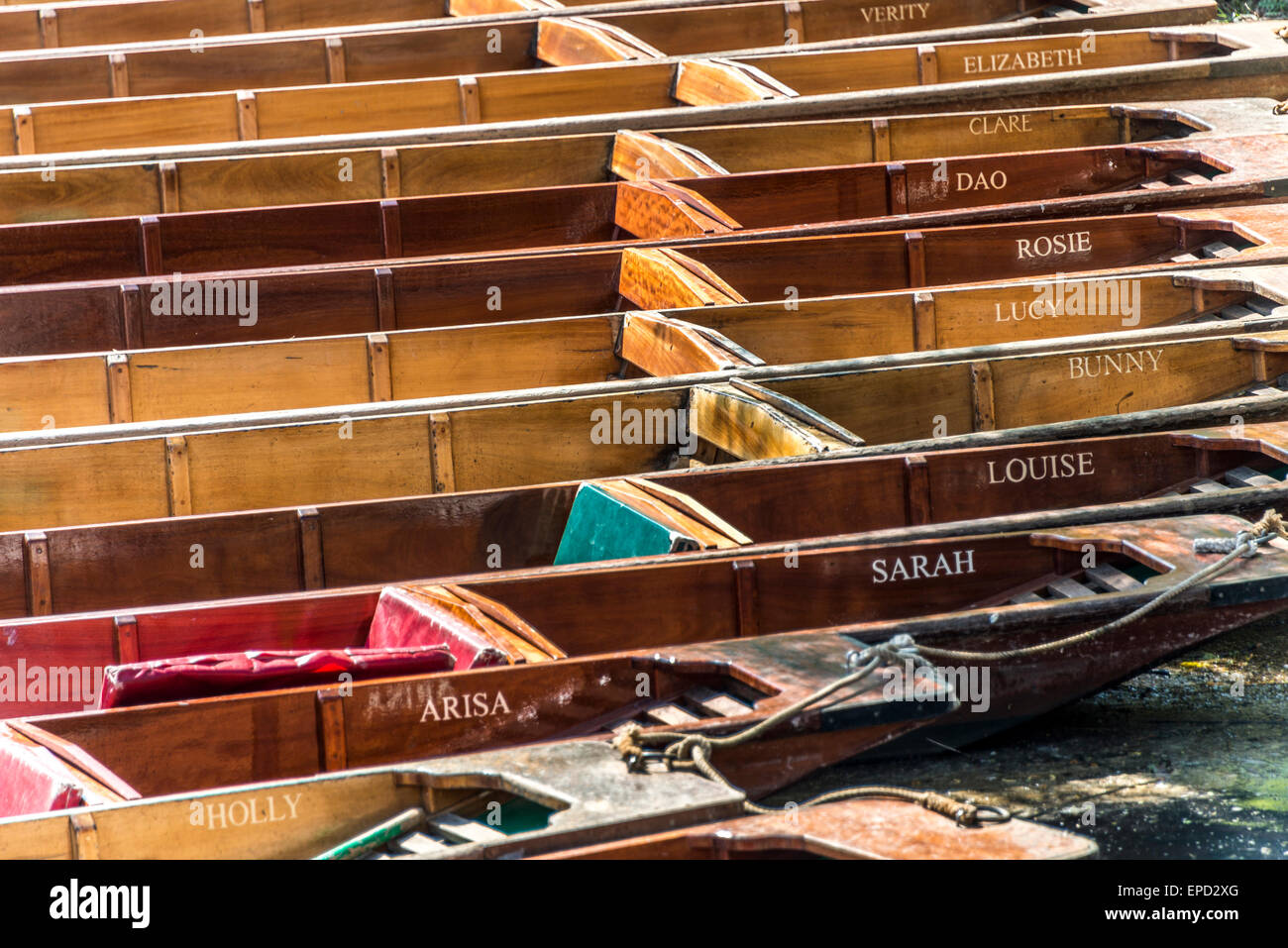 Punt Punting Cambridge High Resolution Stock Photography and Images - Alamy