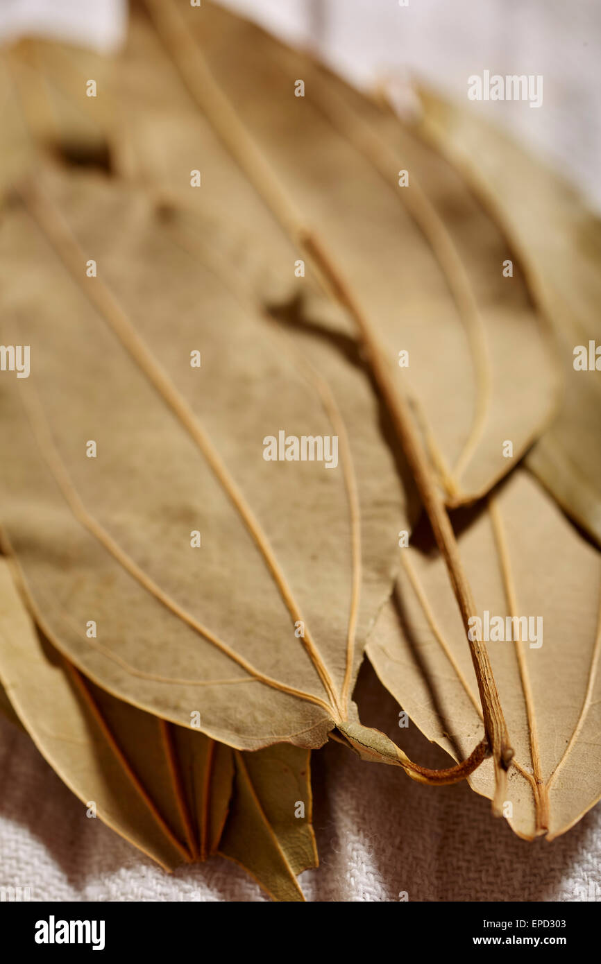 Indian bay leaves hi-res stock photography and images - Alamy