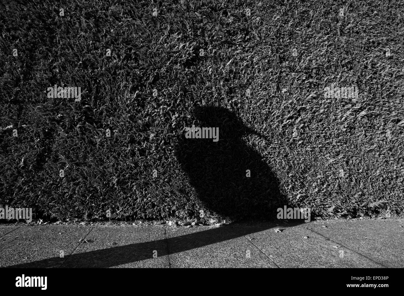 Shadow mask image Black and White Stock Photos & Images - Alamy