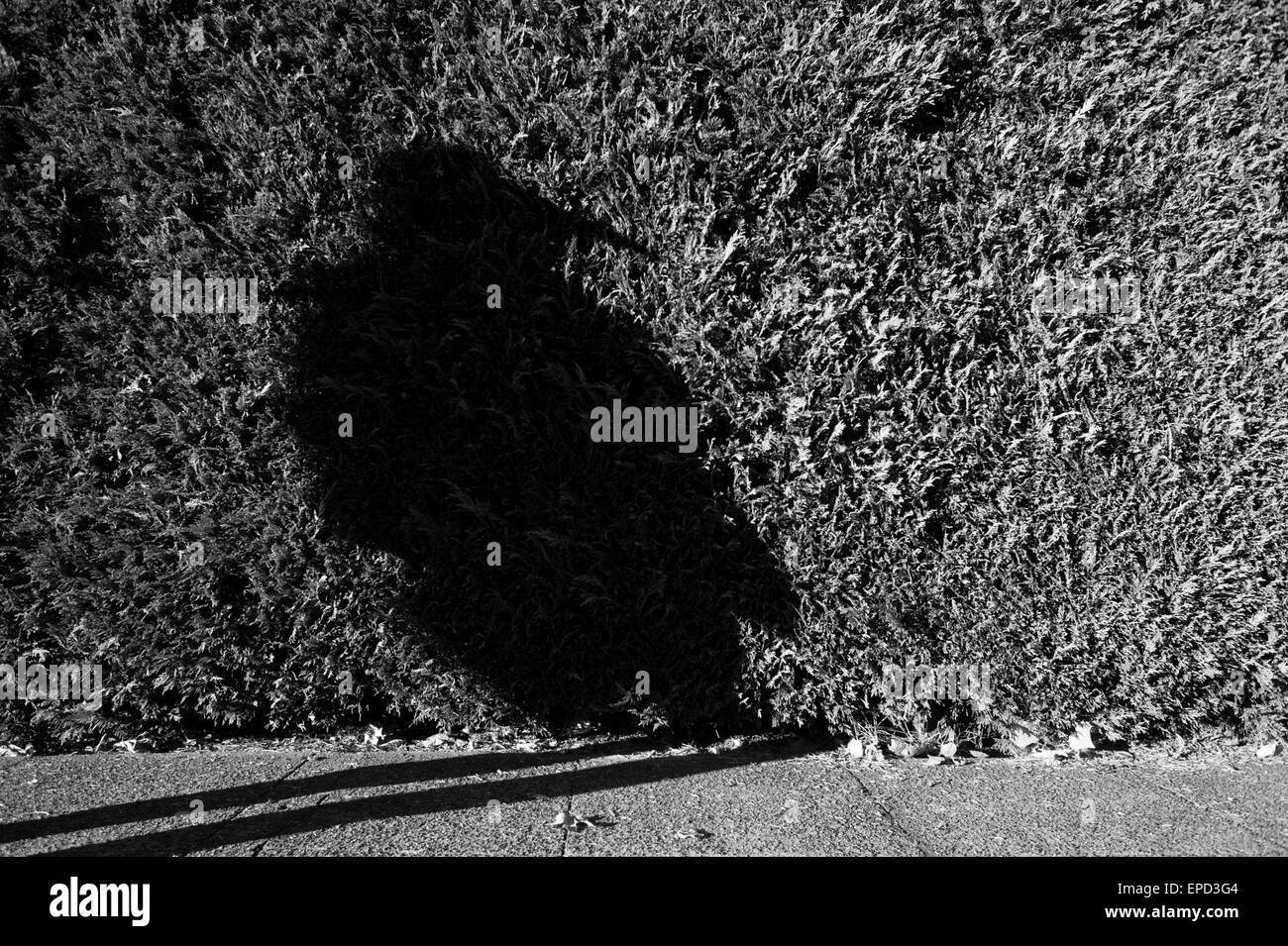 Shadow mask image Black and White Stock Photos & Images - Alamy