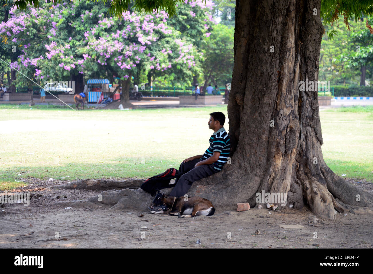 People resting under tree india hi-res stock photography and images - Alamy