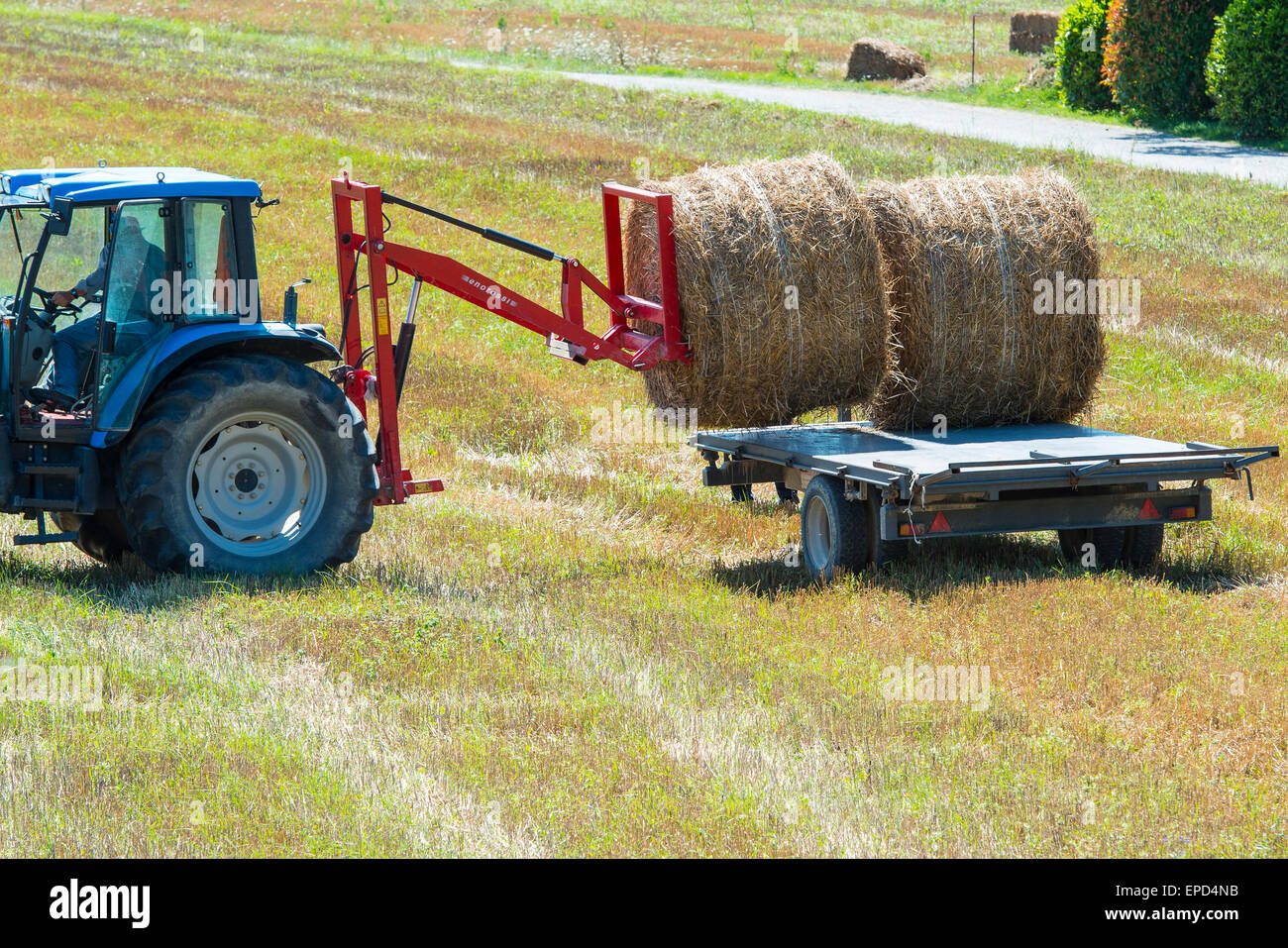Tractor loading hay bales in a field, Gubbio, Umbria, Italy Stock Photo ...