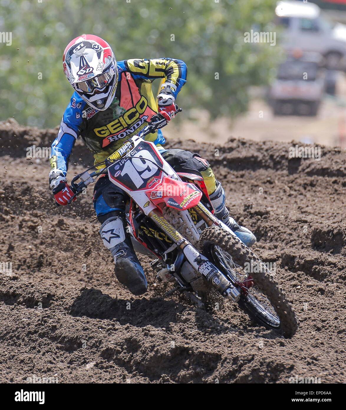 James bogle hi-res stock photography and images - Alamy