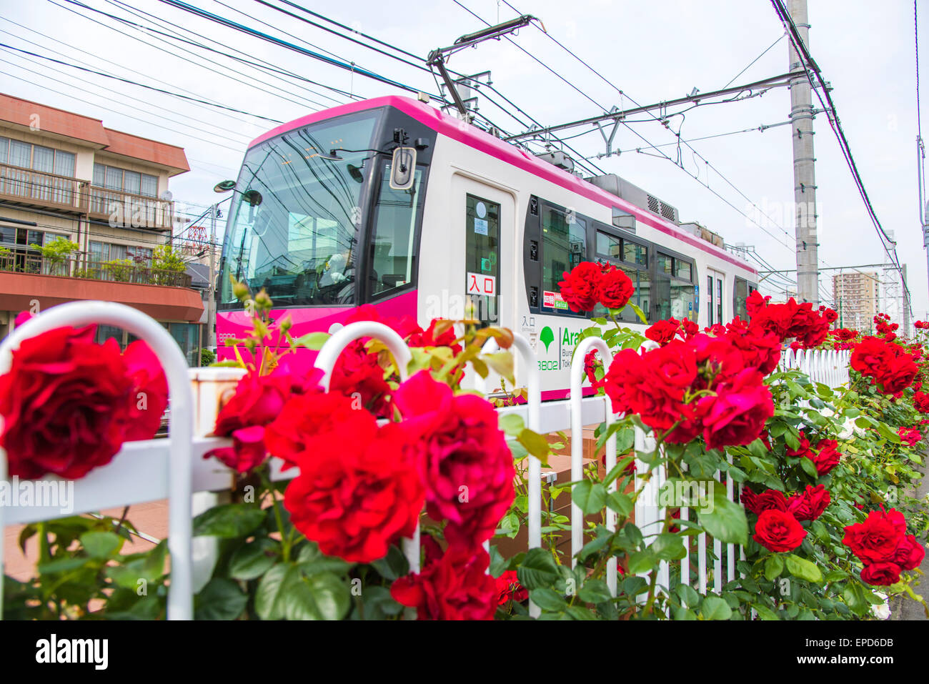 Toden Arakawa Line, near Arakawa-Shakomae Station,Arakawa-Ku,Tokyo ...