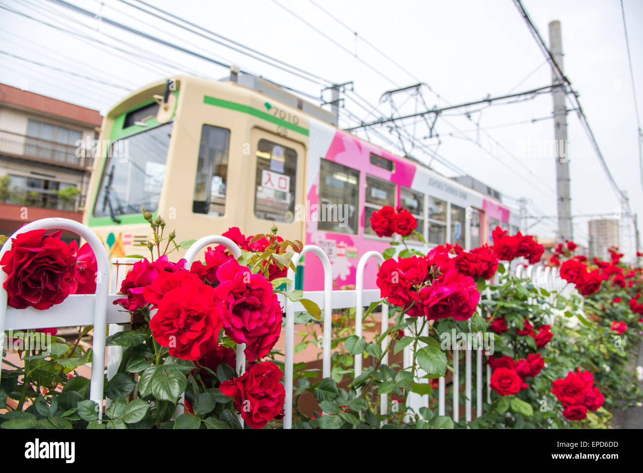 Tokyo toden arakawa tram line station hi-res stock photography and ...