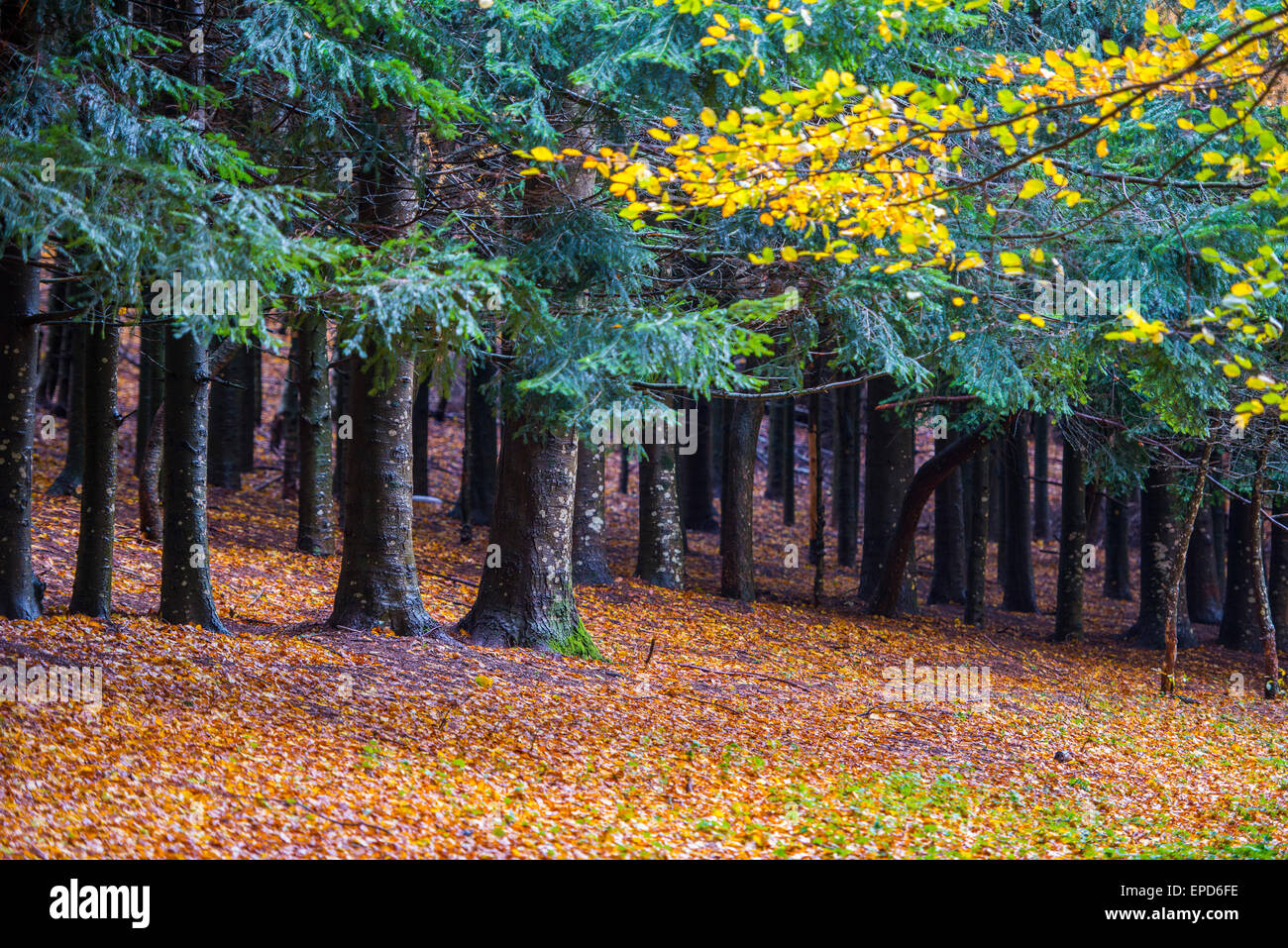 Pian delle macinare hi-res stock photography and images - Alamy