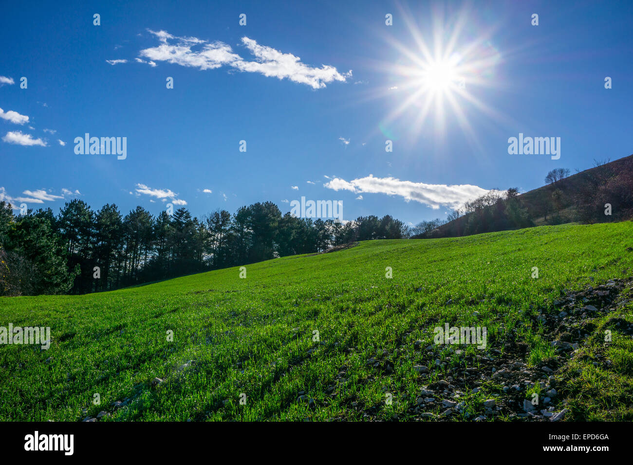 Green meadows and blue sky, sunstar, Umbria, Italy Stock Photo - Alamy