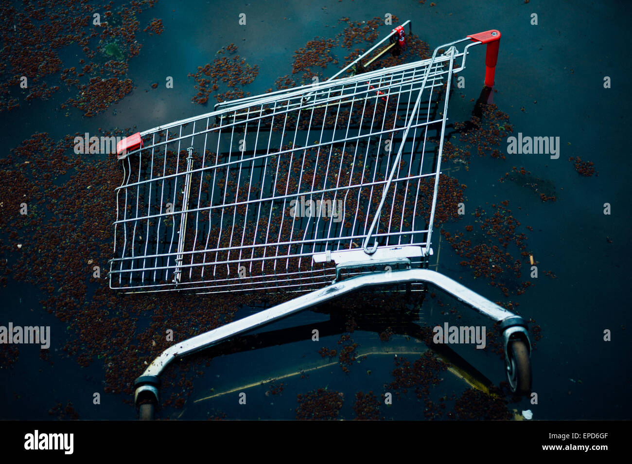 Shopping trolley half submerged in water Stock Photo - Alamy