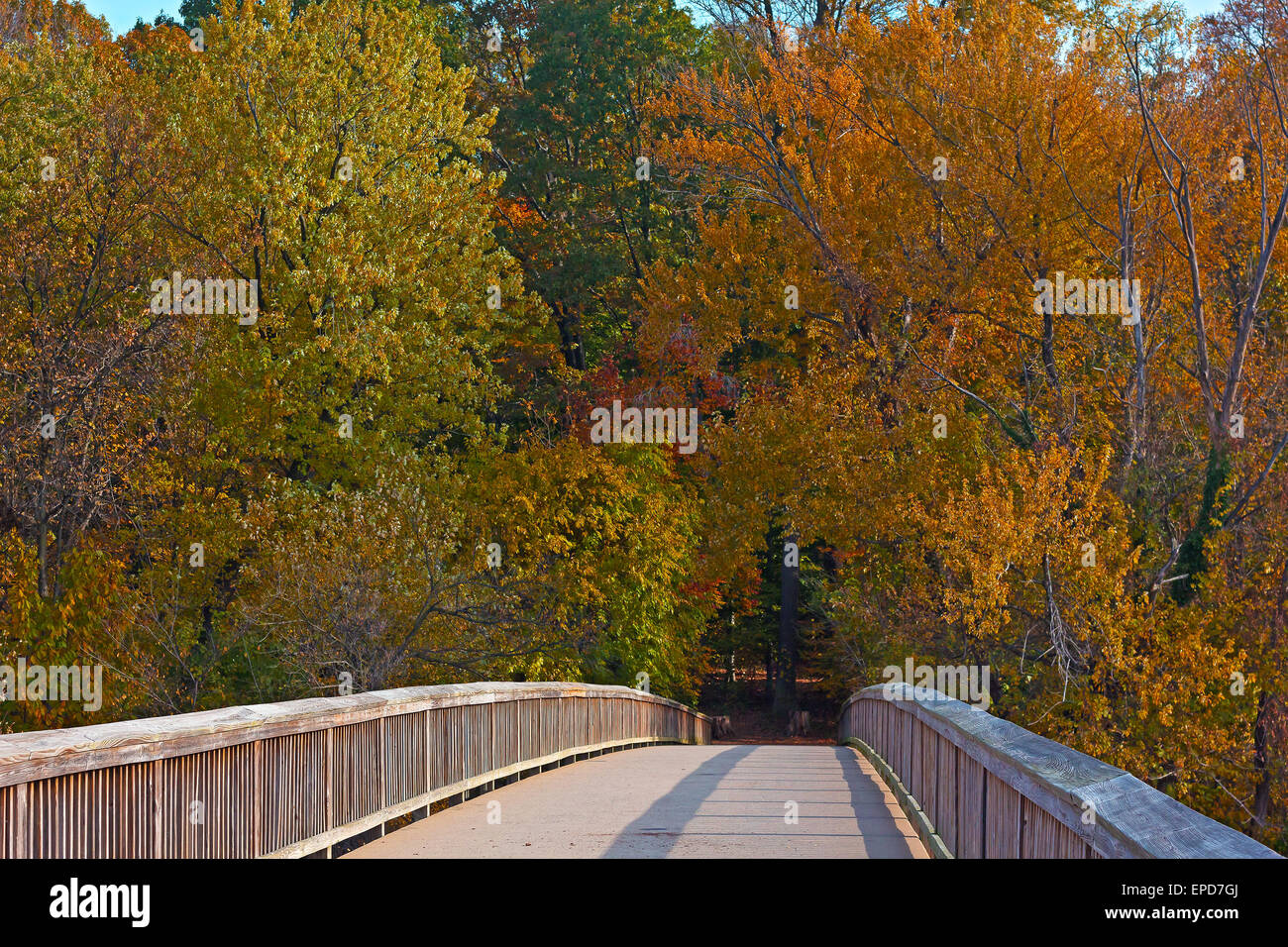 A bridge to Theodore Roosevelt Island Park with trees in autumn foliage ...