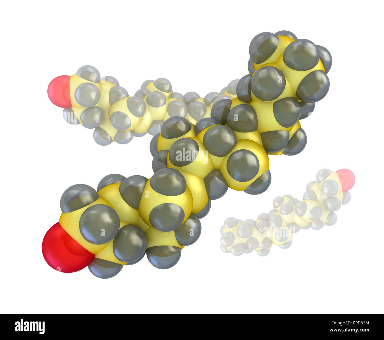 Sterol lipid hi-res stock photography and images - Alamy