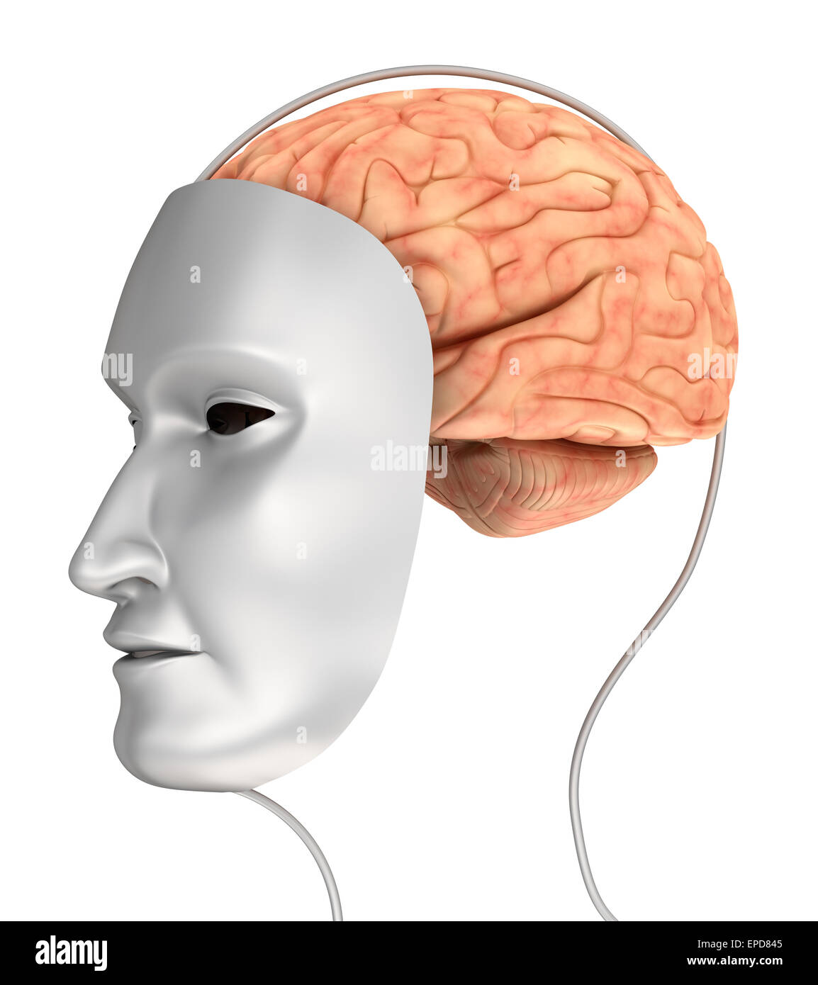 Concept of robot and brain isolated on white Stock Photo - Alamy