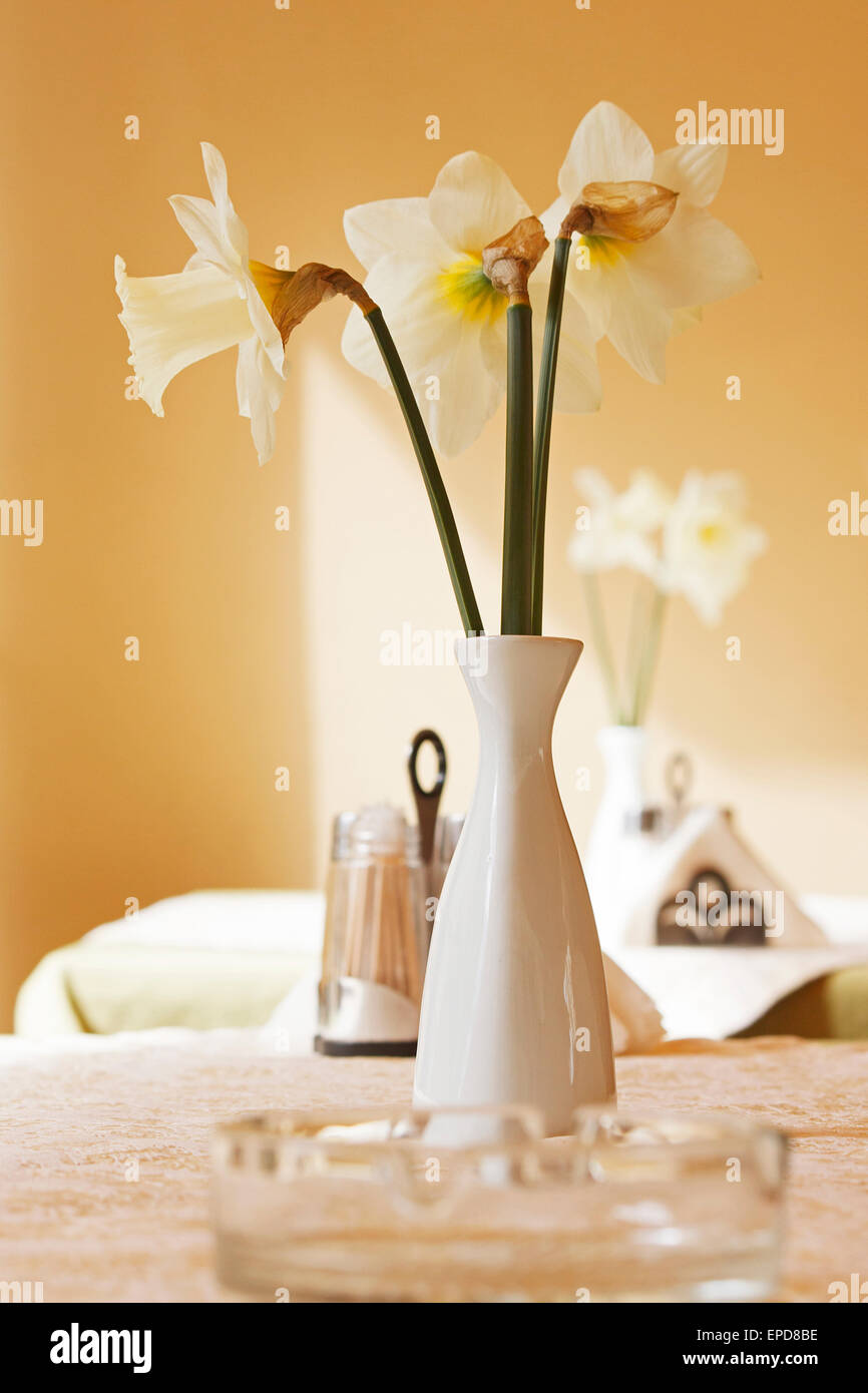 Cafe vase hi-res stock photography and images - Alamy