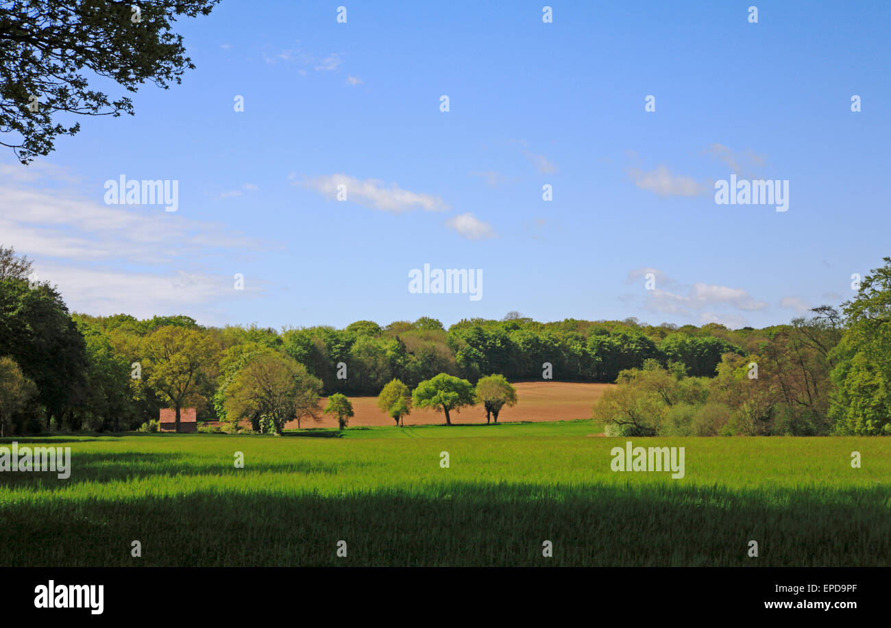 An English country landscape of fields and woodland in spring at ...