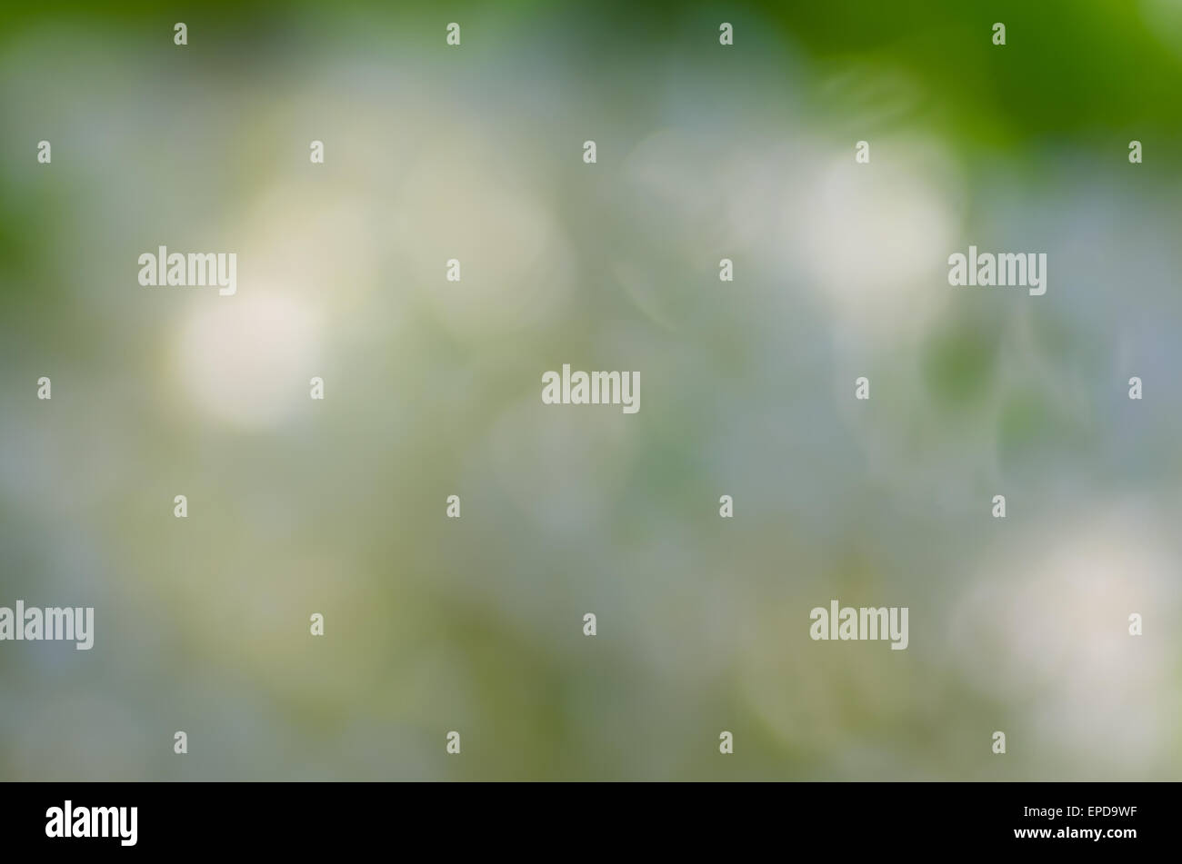 nature spring defocused background Stock Photo - Alamy