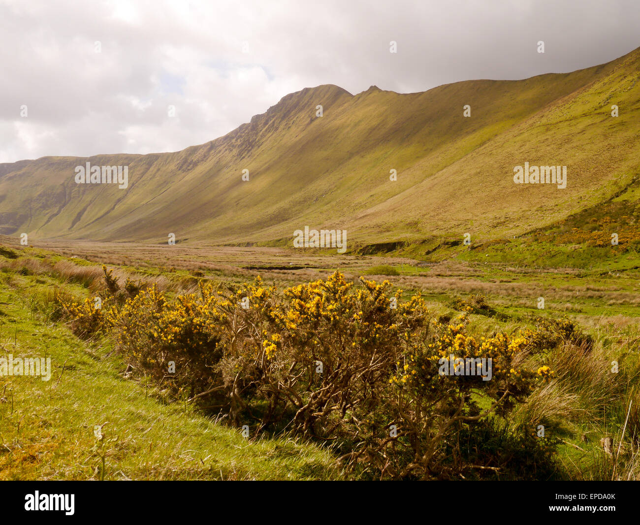 Beenoskee and Stradbally Mountain on the Dingle Peninsular, County ...