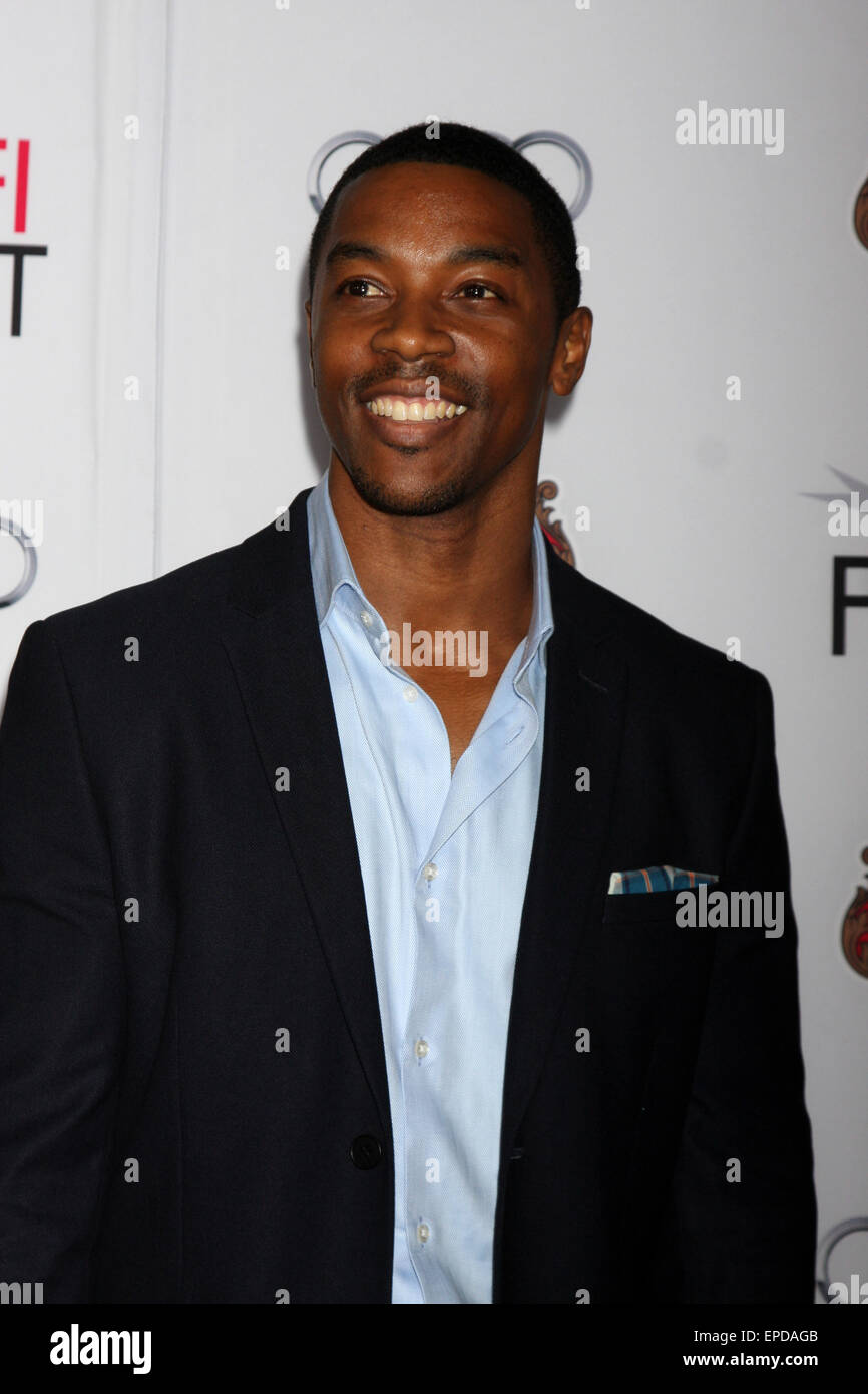 The Homesman Screening at the American Film Institute Film Festival ...