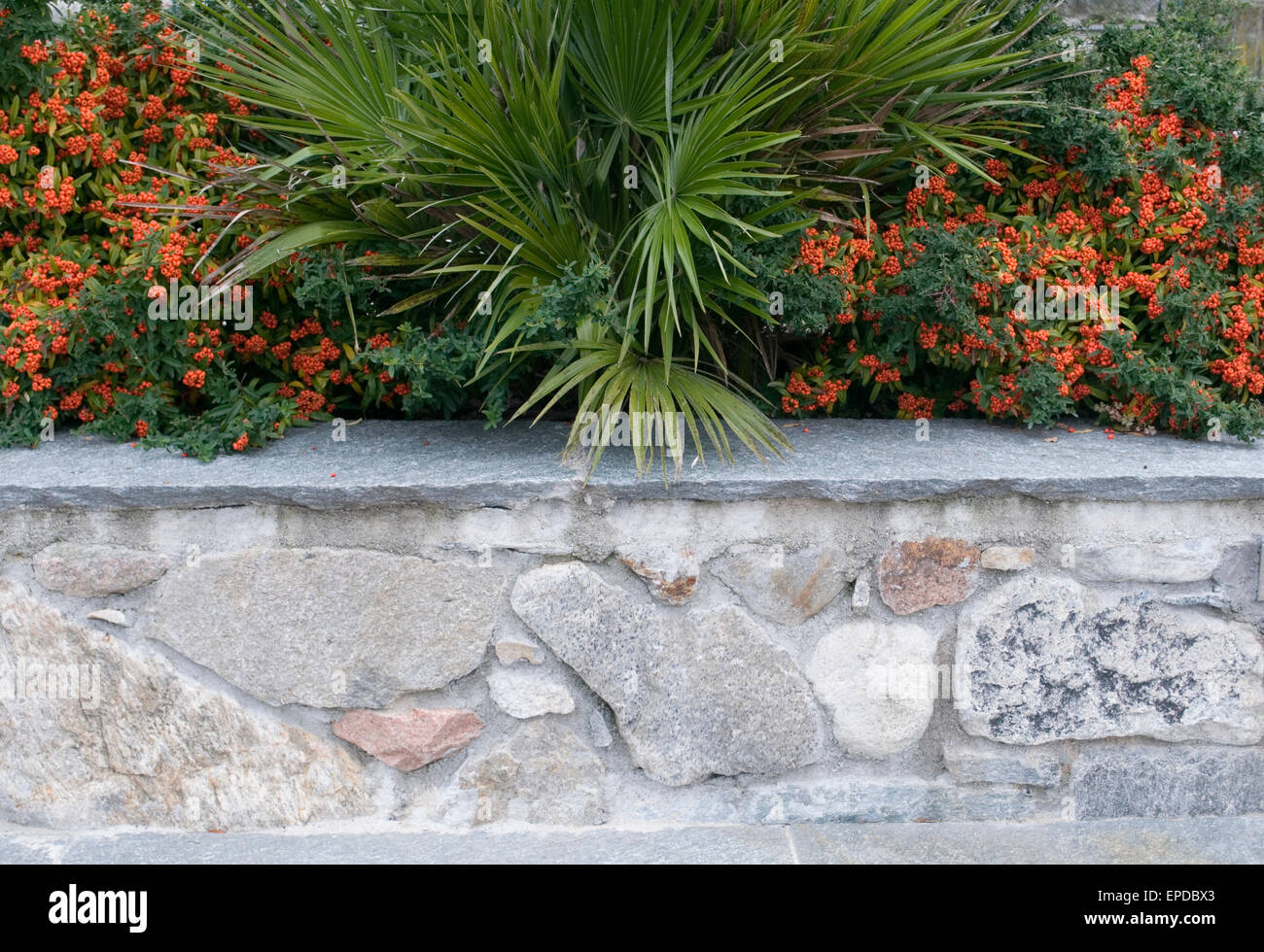 stone wall and plants Stock Photo - Alamy