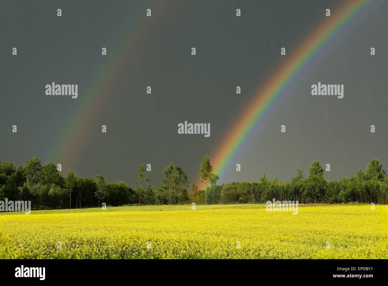 Lithuanian landscape hi-res stock photography and images - Alamy