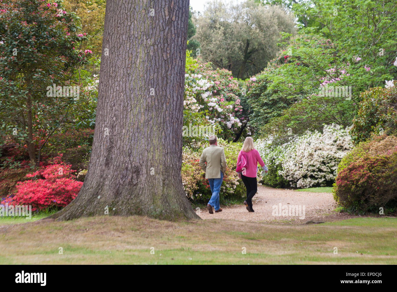 Strolling couple in garden hi-res stock photography and images - Alamy