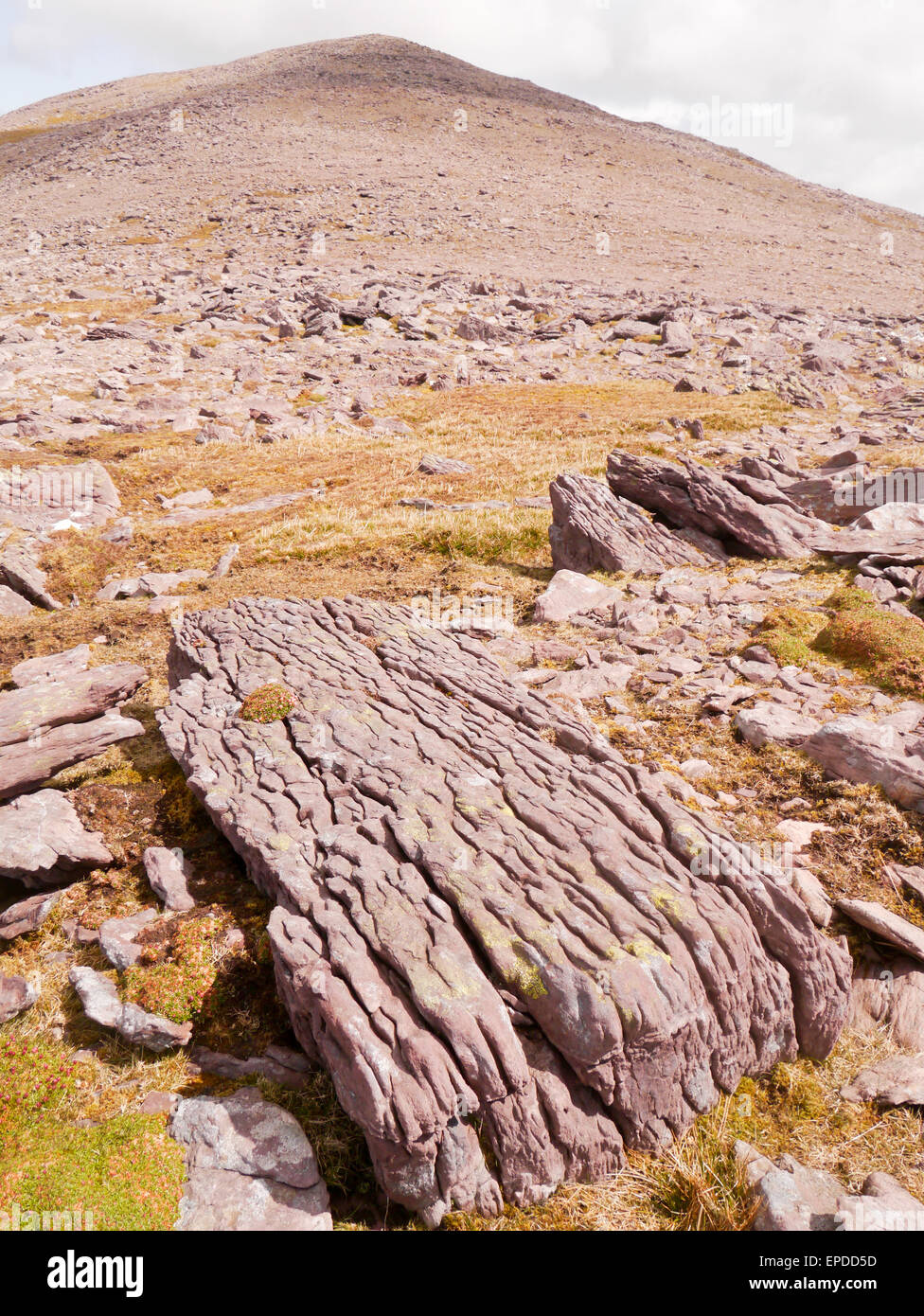Beenoskee and Stradbally Mountain on the Dingle Peninsular, County ...