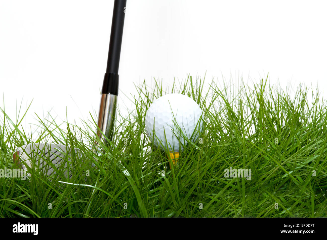 golf ball in the rough Stock Photo - Alamy