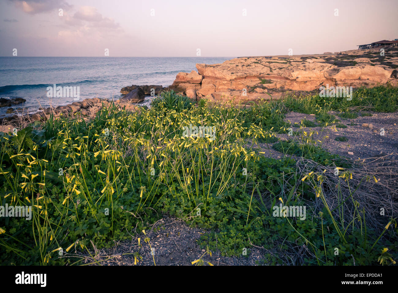 Nature of Northern Cyprus Stock Photo - Alamy