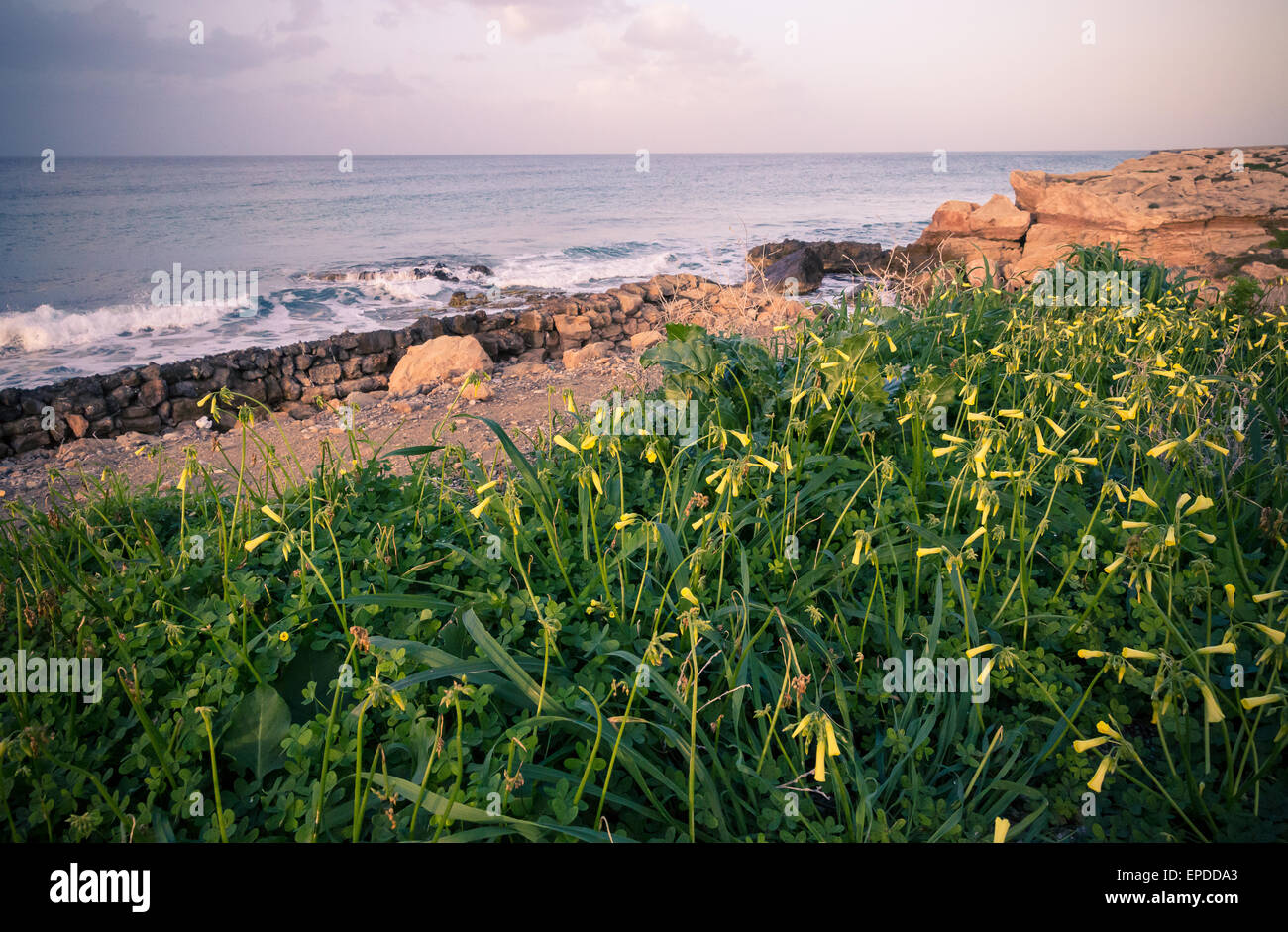 Nature of Northern Cyprus Stock Photo - Alamy