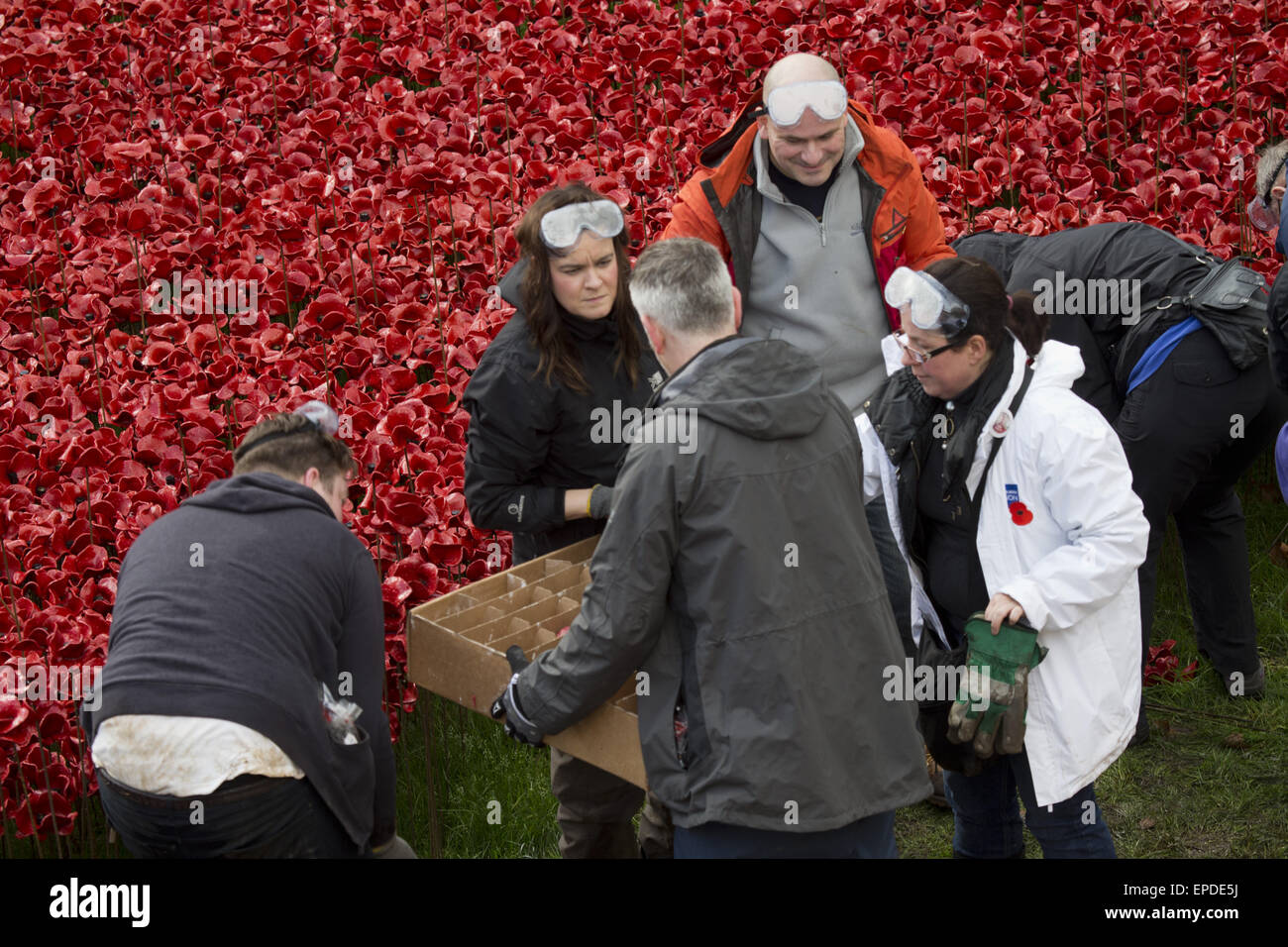Volunteers begin to dismantle the commemorative art installation,'Blood ...
