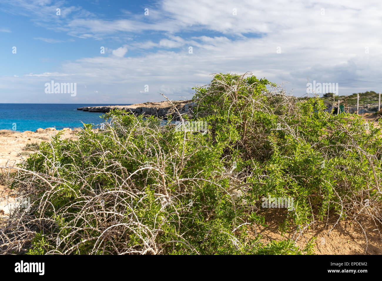 Nature of Cyprus Stock Photo - Alamy